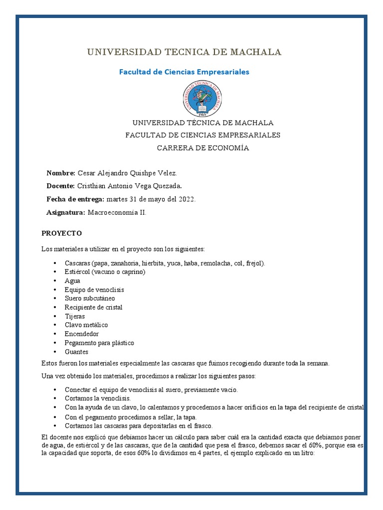 Informe de Proyecto de Macro Ii | PDF