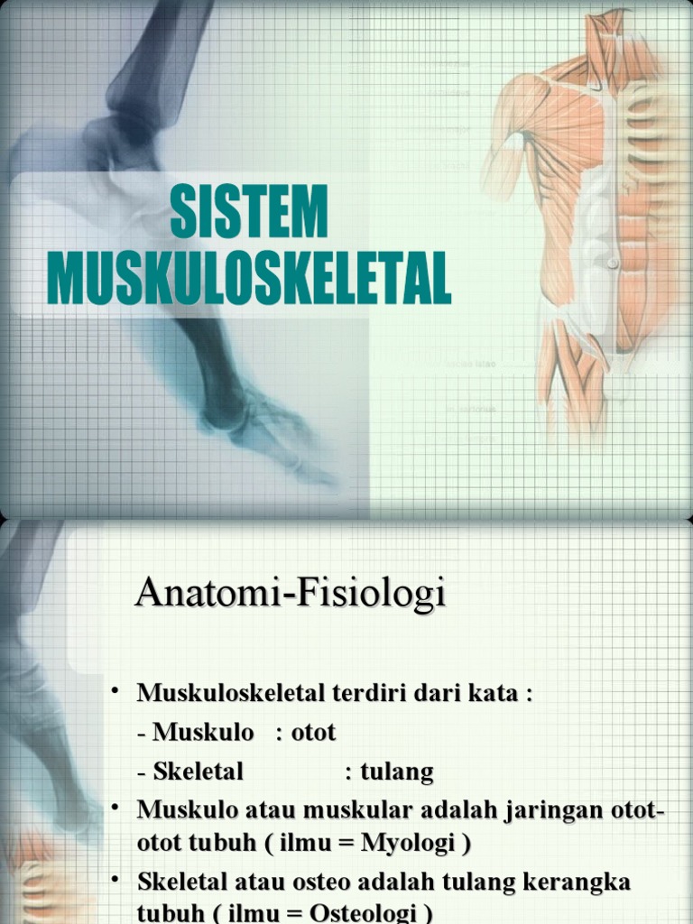 Pemeriksaan Fisik Muskuloskeletal | PDF