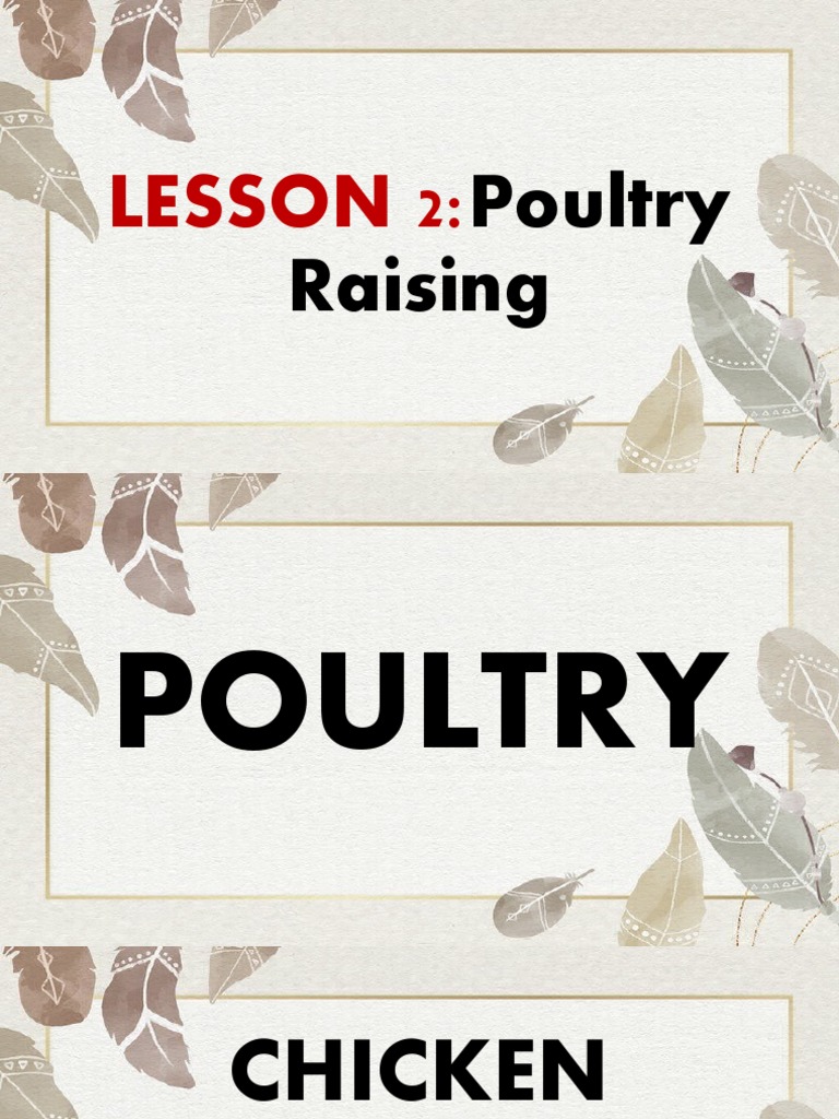 Lesson 2. Tle 5 | PDF | Chicken | Poultry