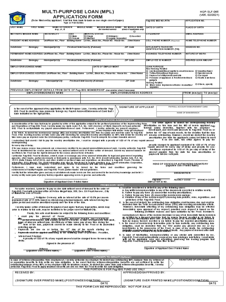 SLF065 MultiPurposeLoanApplicationForm V05(2) | PDF | Loans | Amortization (Business)