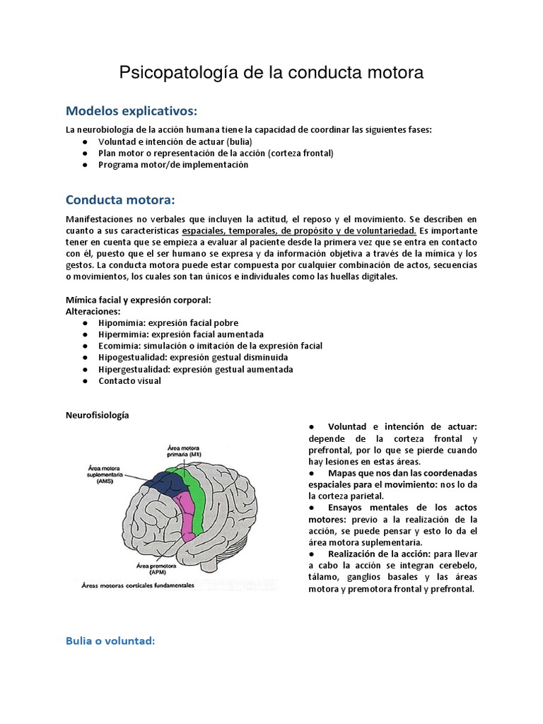 Psicopatología de La Conducta Motora | PDF | Sistema nervioso ...