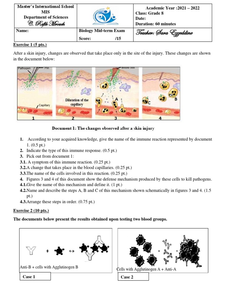 Grade 8 Biology Exam | PDF | T Cell | Lymphocyte