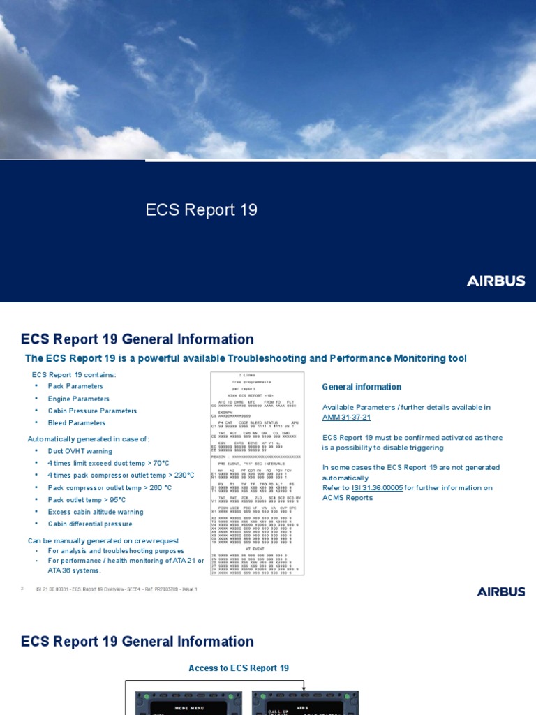 ECS Report 19 | PDF | Manufactured Goods | Gas Technologies