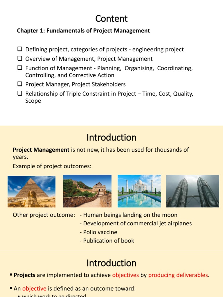 Fundamentals of Project Management | Download Free PDF | Project ...