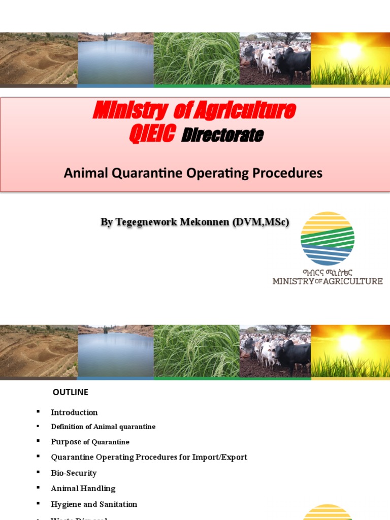 Animal Quarantine Procedures in Ethiopia | PDF | Quarantine | Cattle