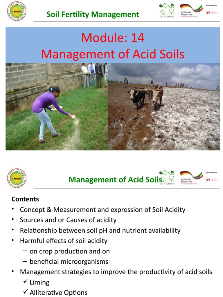 Acid Soil Management Guide | PDF | Soil | Ph
