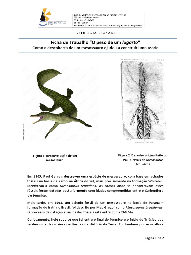 Mesossauros e a Deriva Continental | PDF | Geociências | Natureza