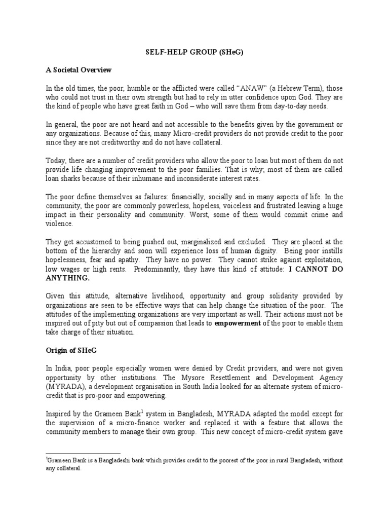 SHeG Input | PDF | Empowerment | Loans