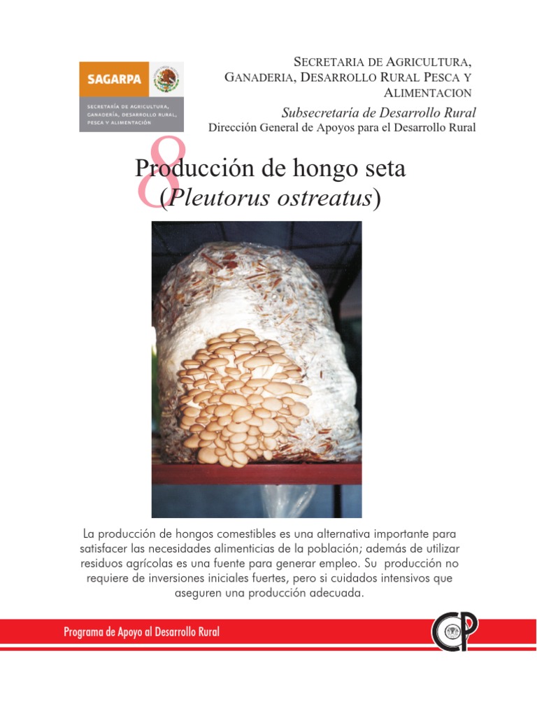 Producción de Hongo Seta en Agricultura | PDF | Siembra | Agricultura