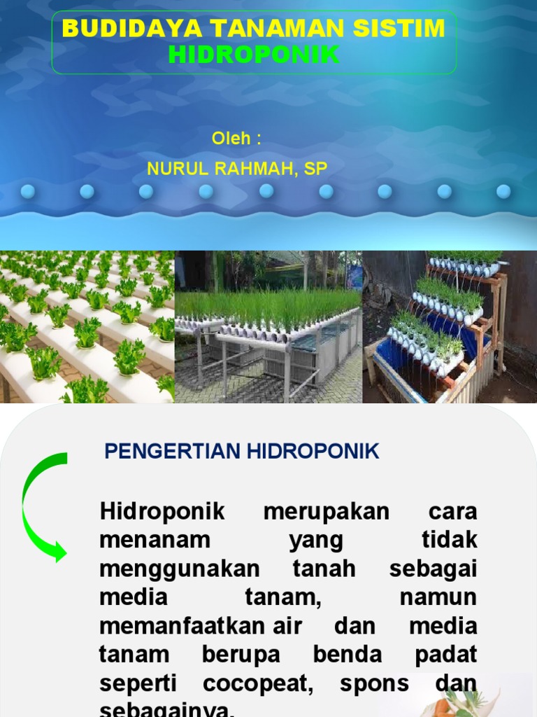 Presentasi Hidroponik | PDF