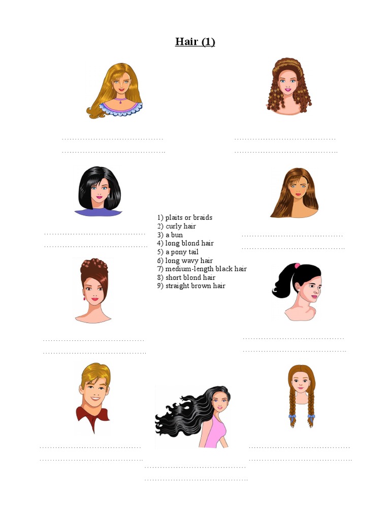 Types of Hair Descriptions Worksheet | PDF