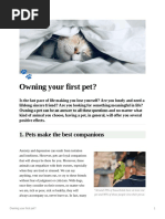 Informative Speech | PDF | Pet | Dogs