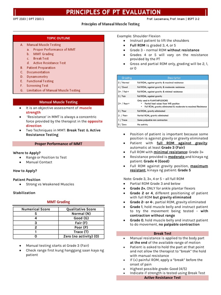 Principles of Manual Muscle Testing | PDF | Musculoskeletal System ...