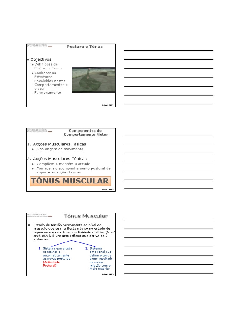 Aula11dtshow Postura e Tonus | PDF | Músculo esquelético | Atitude (Psicologia)