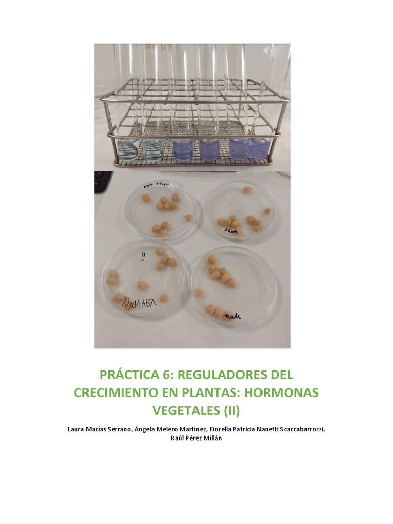 Práctica: Reguladores Del Crecimiento en Plantas (II) : ABA | PDF ...