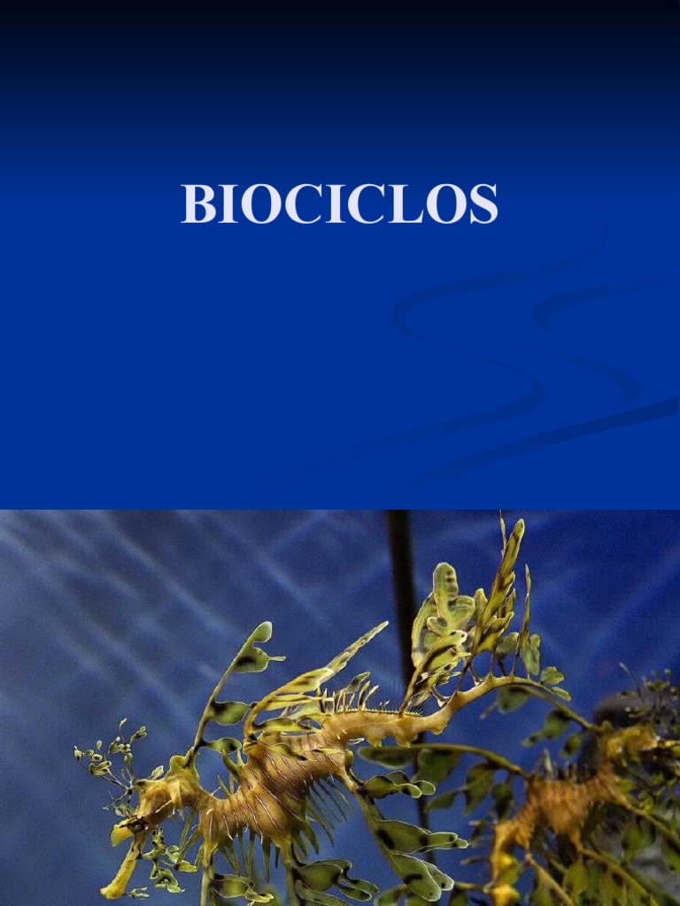 Os principais biociclos aquáticos: uma comparação entre o talassociclo ...