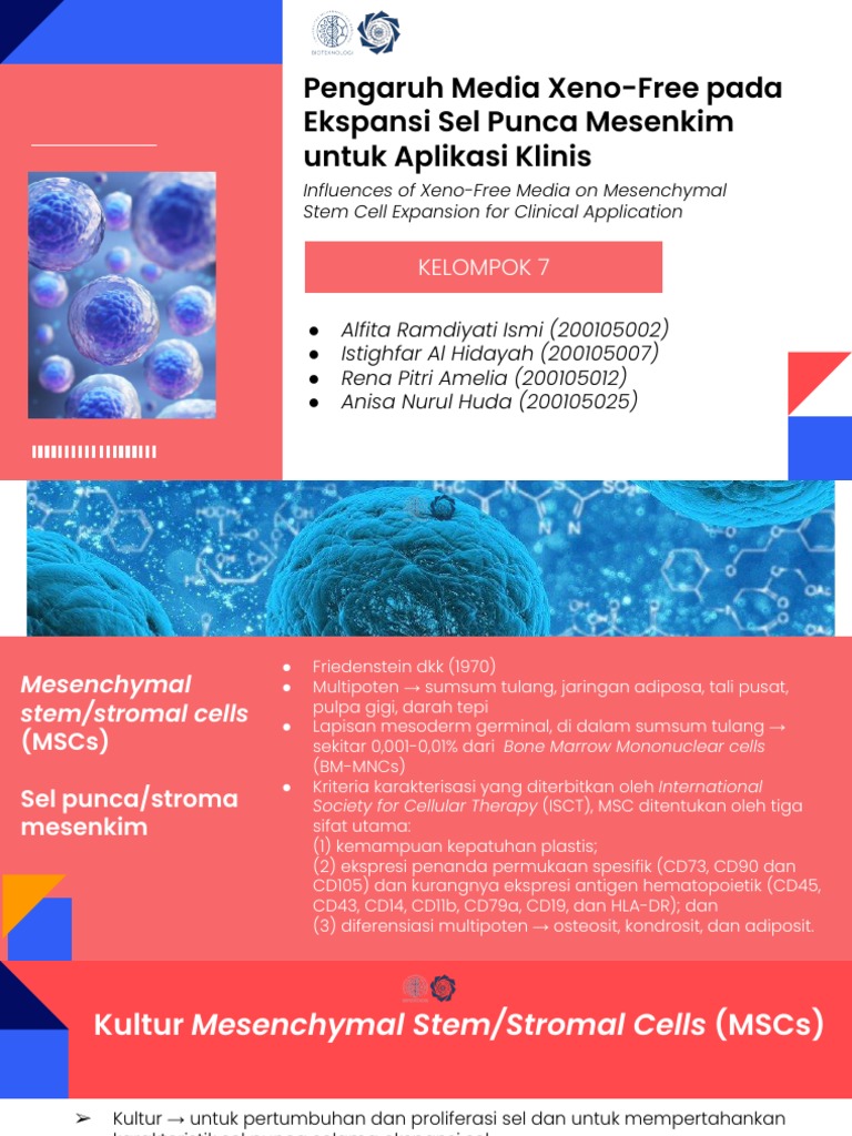 7 - PPT Stem Cells | PDF