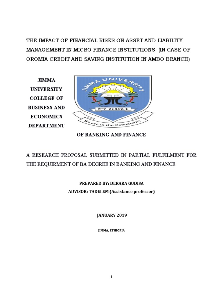 Assessing the Impact of Financial Risks on Asset and Liability ...