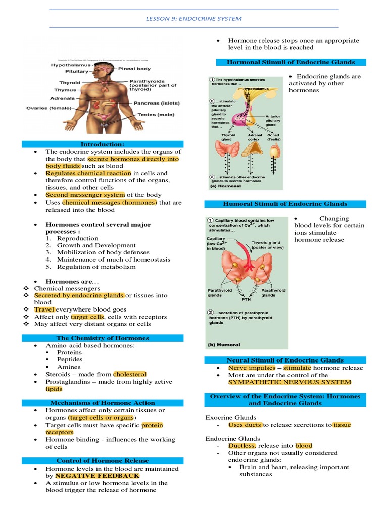Endocrine Reviewer | PDF | Endocrine System | Adrenal Gland