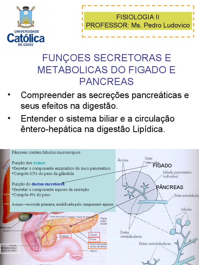 Funções do Fígado e Pâncreas na Digestão | PDF | Bile | Pâncreas