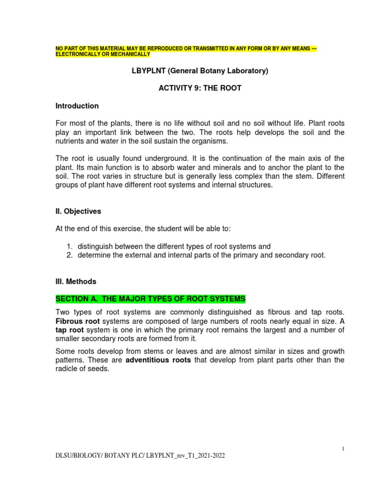Activity 9 - Roots (Instruction Sheet) | PDF | Root | Tissue (Biology)