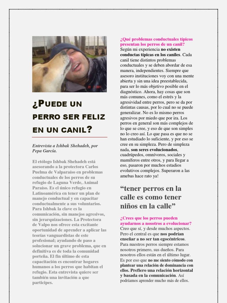 Puede Un Perro Ser Feliz en Un Canil - Entrevista A Ishbak Shehadeh ...