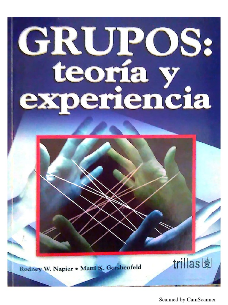 Napier y Gershenfeld (2016) - Grupos, Teoría y Experiencias | PDF