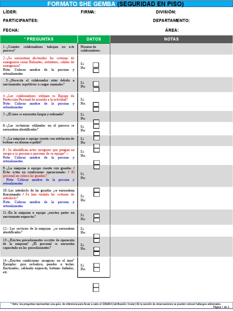 Formato She Gemba 2021 | PDF