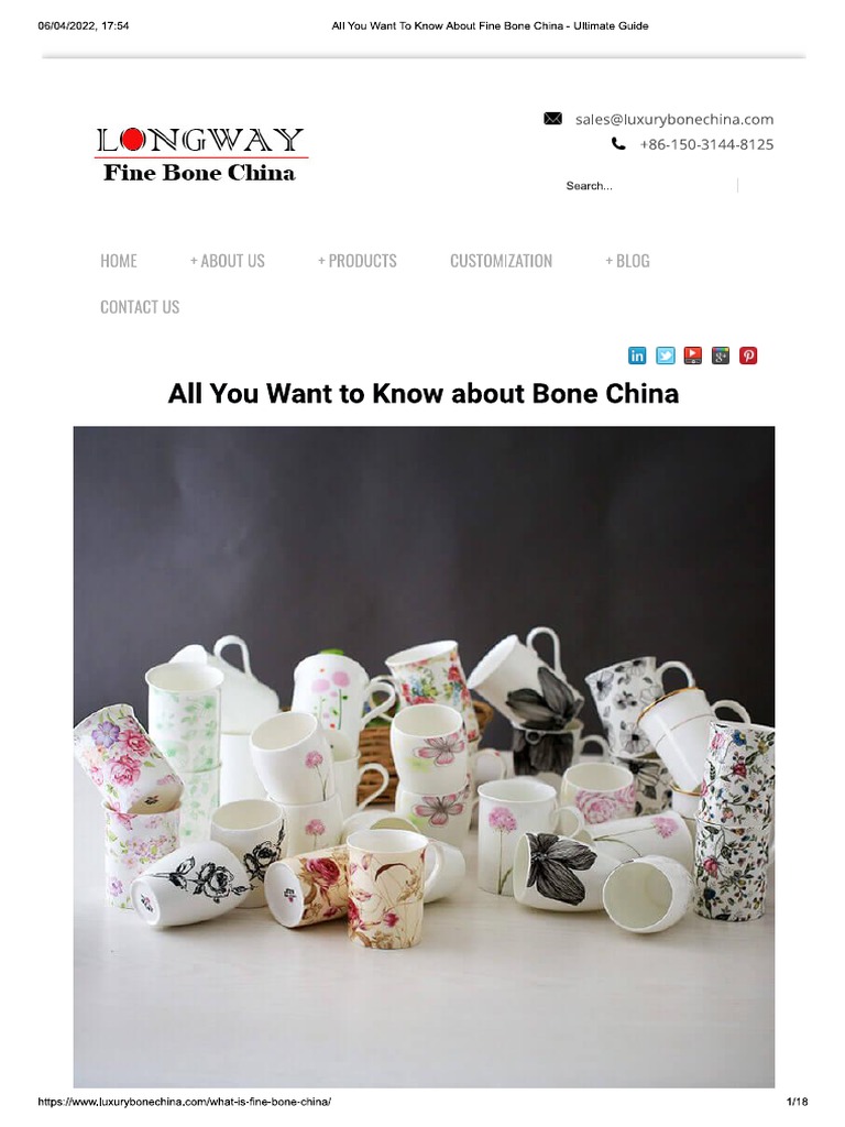 All You Want To Know About Fine Bone China - Ultimate Guide | PDF