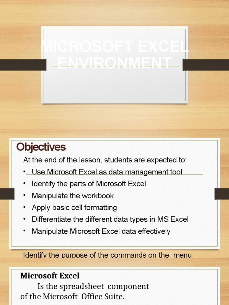 Fg Microsoft Excel Environment Pdf Microsoft Excel Spreadsheet 