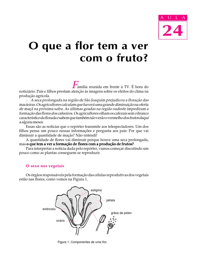 Formação de Flores e Frutos | PDF | Semente | Flores