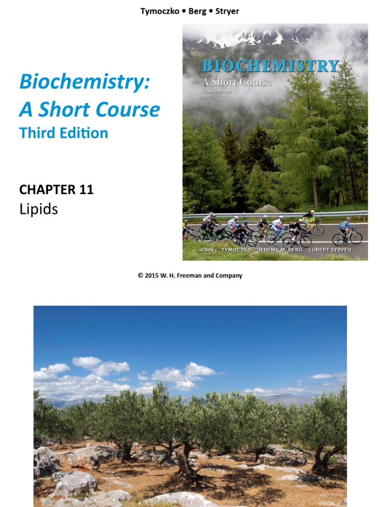 CH 11 Lecture Slides | PDF | Lipid | Fatty Acid