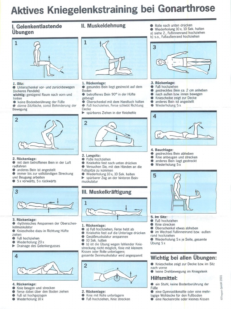 Aktives Kniegelenkstraining (Gonarthrose) | PDF
