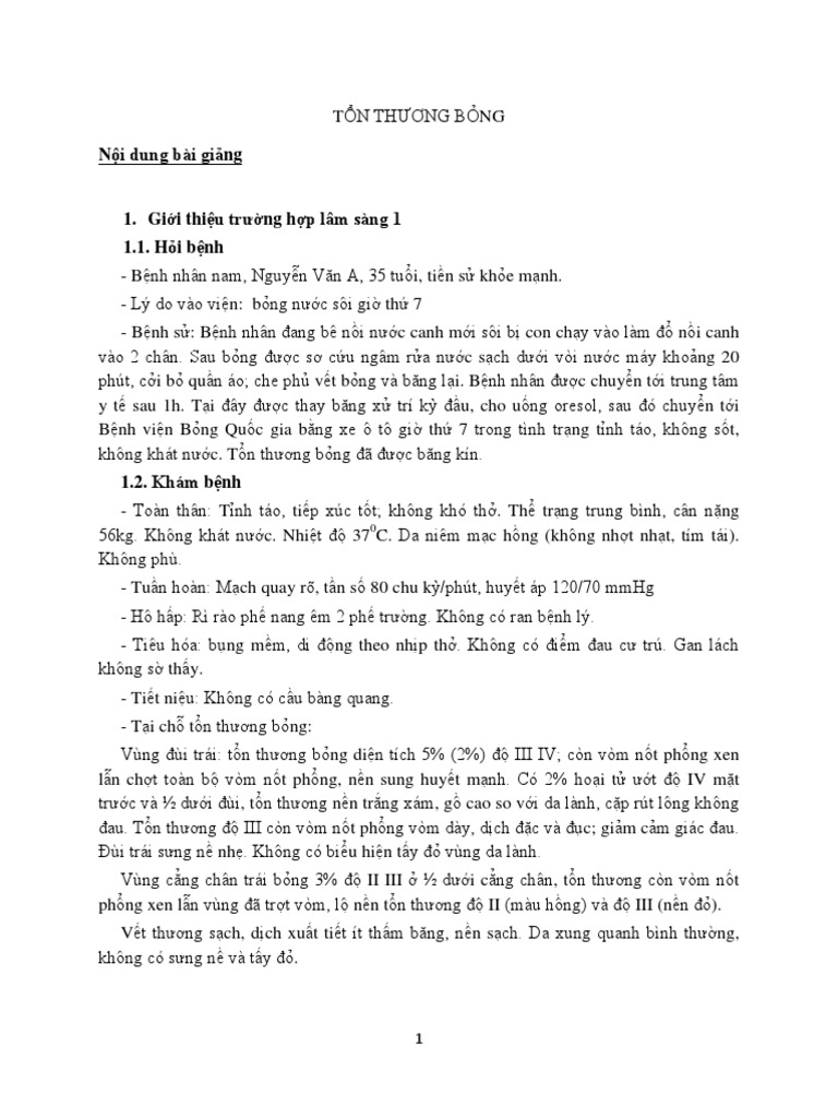 CA LS1 CA LS 1 Bỏng Version 2.0 | PDF