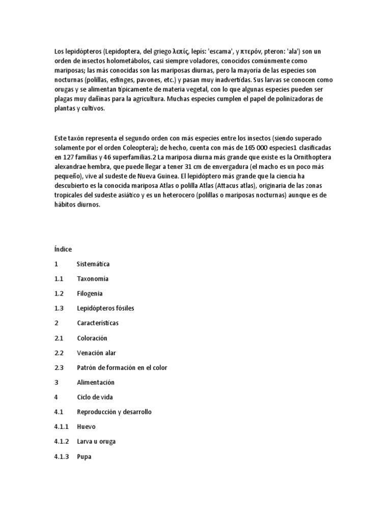 Los Lepidópteros | PDF | Lepidópteros | Insectos