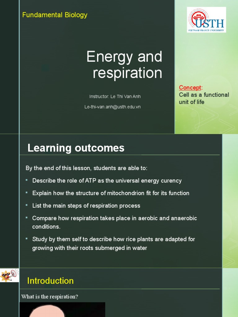 Energy and Respiration | PDF | Cellular Respiration | Glycolysis