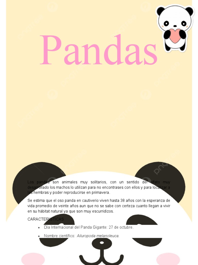 Pandas | PDF | Panda gigante | Osos