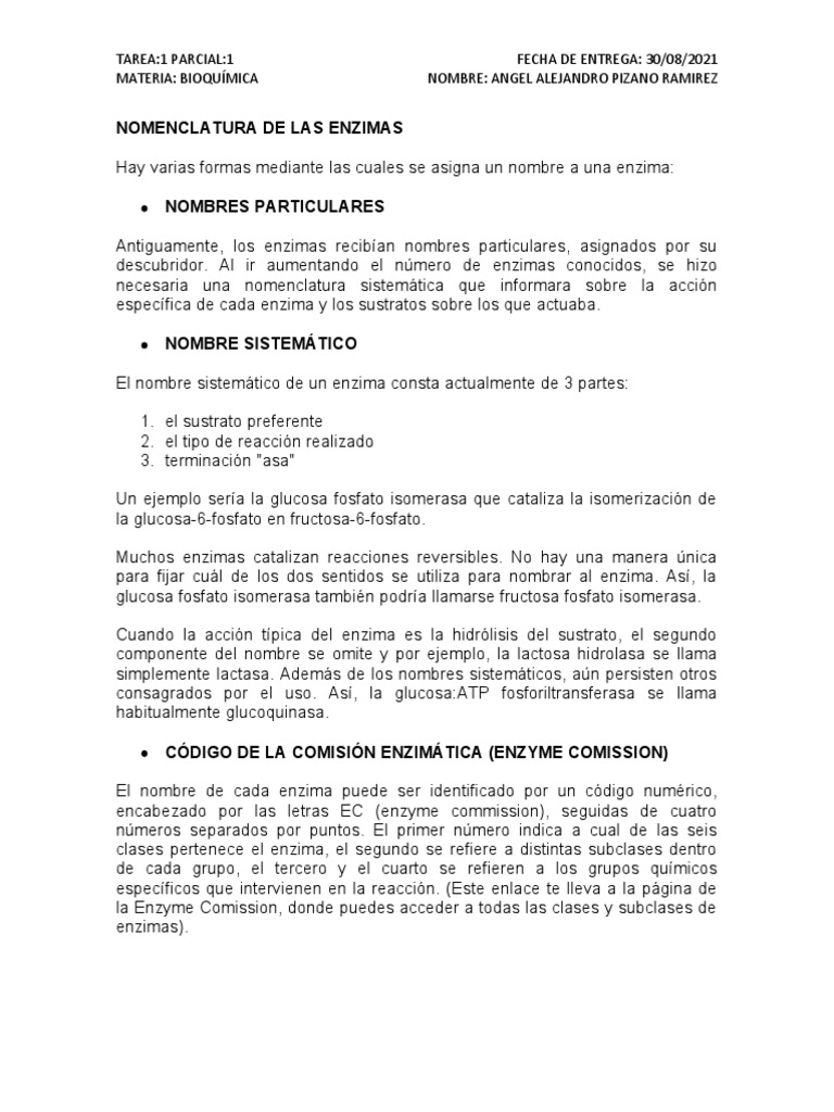 T1P1 Bioquímica | PDF | Enzima | Cinética química