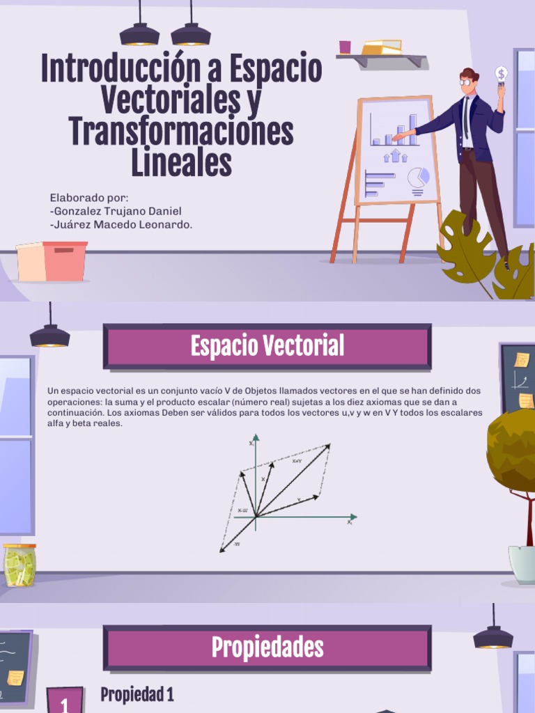 Introduccion A Los Espacio Vectoriales Y Transformaciones Lineales | PDF | Espacio vectorial ...