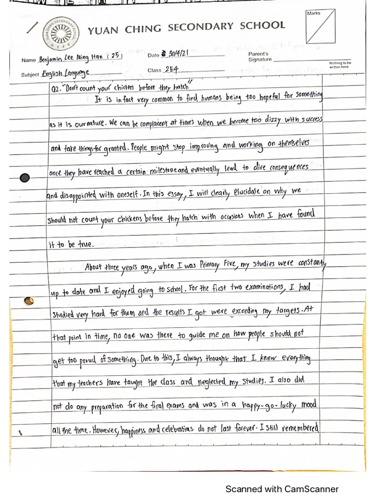 Personal Response Essays | PDF