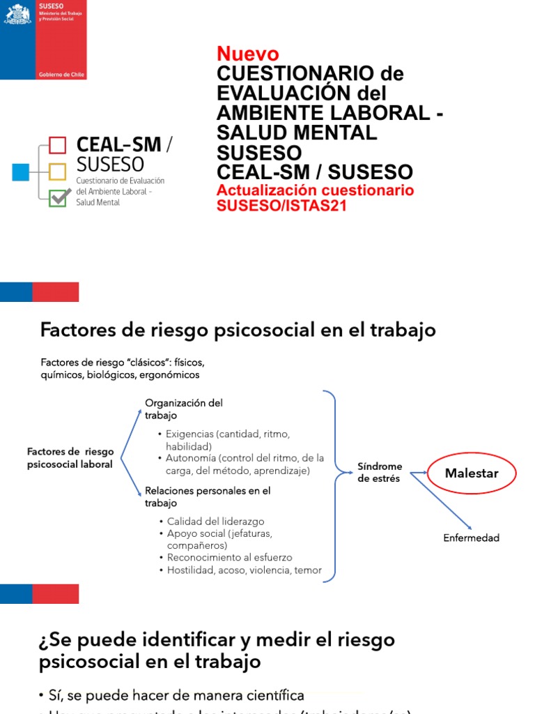 Cuestionario CEAL SM | PDF | Acoso sexual | Violencia