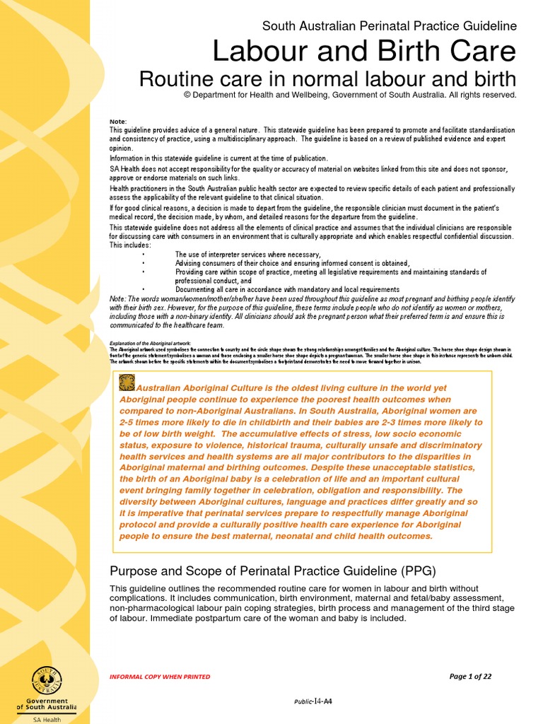 Labour+and+Birth.+Routine+care+in+normal+labour+ Birth PPG V1 1 | Download Free PDF | Childbirth ...