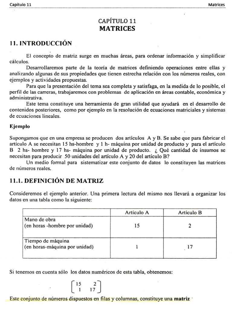 Capítulo 11 Matrices | PDF