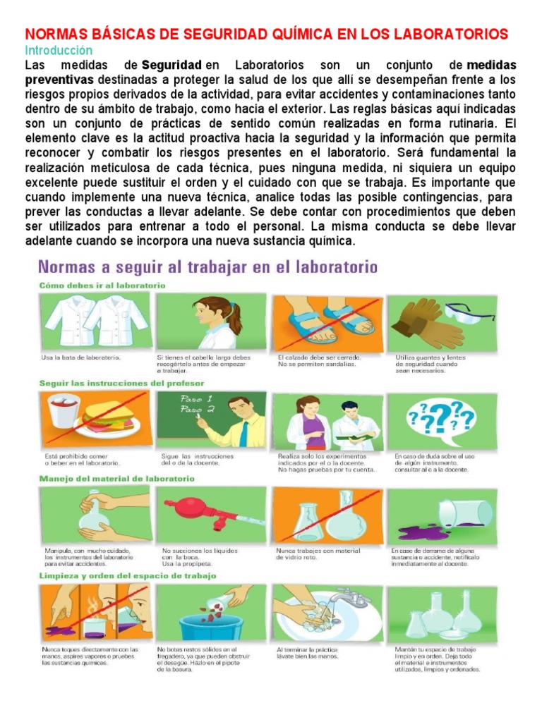 Normas Básicas de Seguridad Química en Los Laboratorios | PDF | Hogar ...