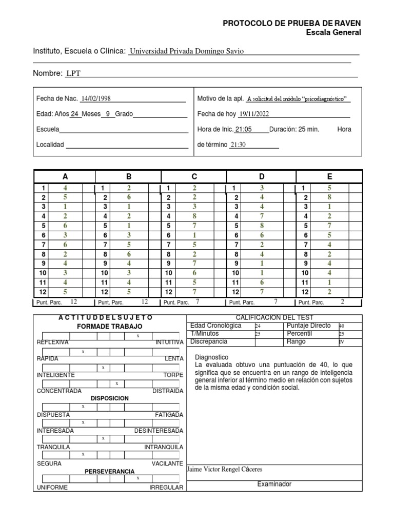 Anexo 09 Protocolo de Prueba de Raven | PDF