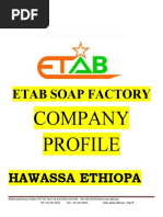 List of Plastic Manufacturers in Ethiopia: Natran@ethionet - Et | PDF