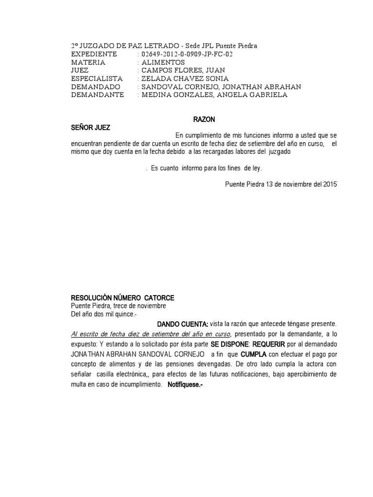 Resolucion n14 | PDF