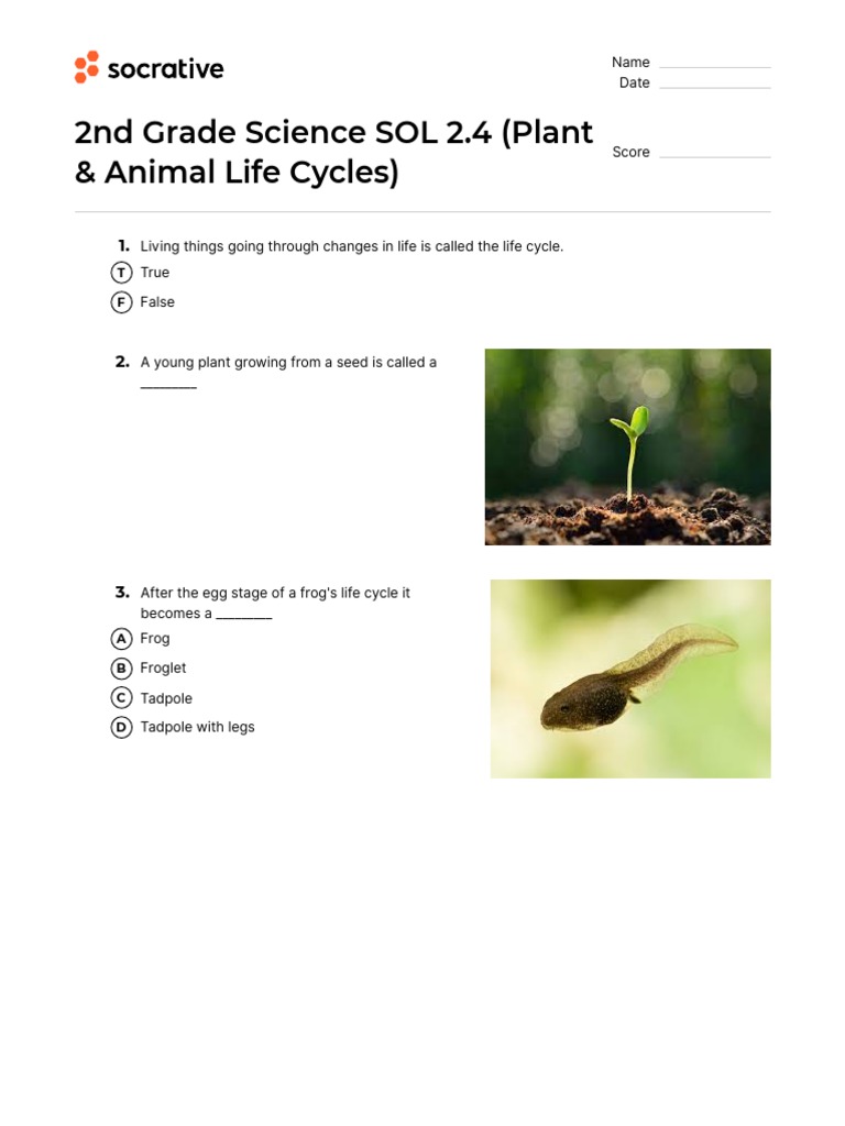2nd Grade Science: Life Cycles Quiz | PDF | Foreign Language Studies ...