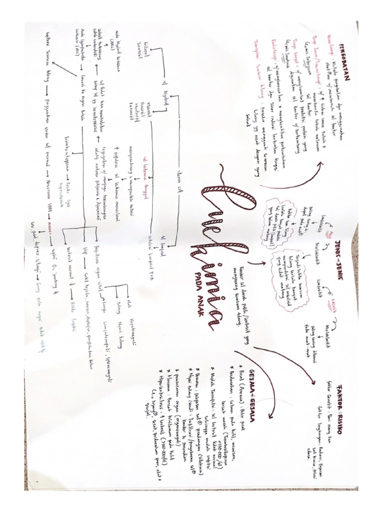 Mind Map Leukemia Pada Anak_Pipit Mariani Muhtar_R014221012 | PDF