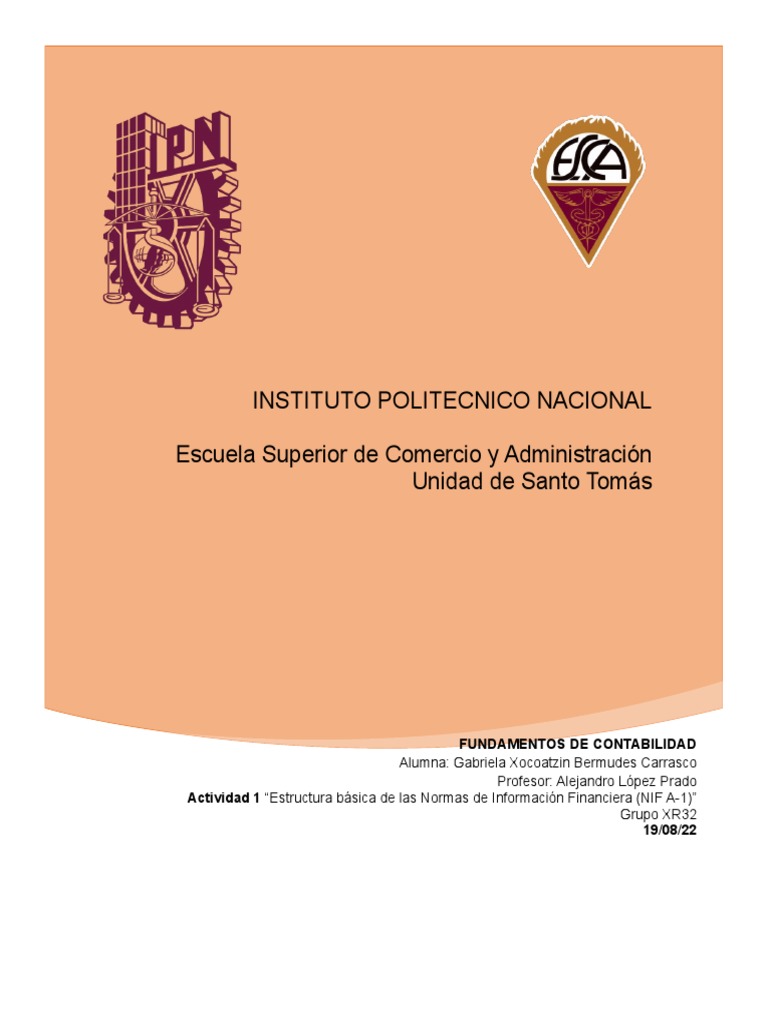 Actividad 1 "Estructura Básica de Las Normas de Información Financiera ...